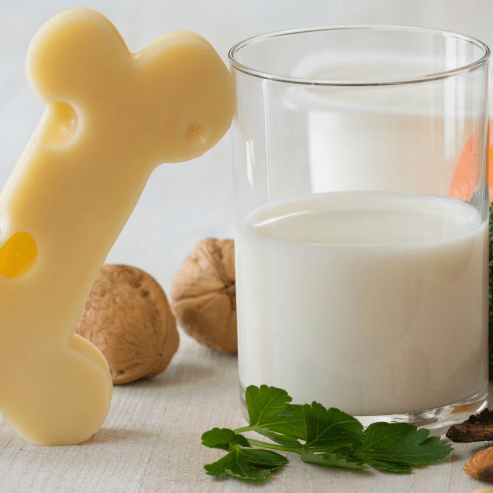 Understanding Osteopenia and Osteoporosis